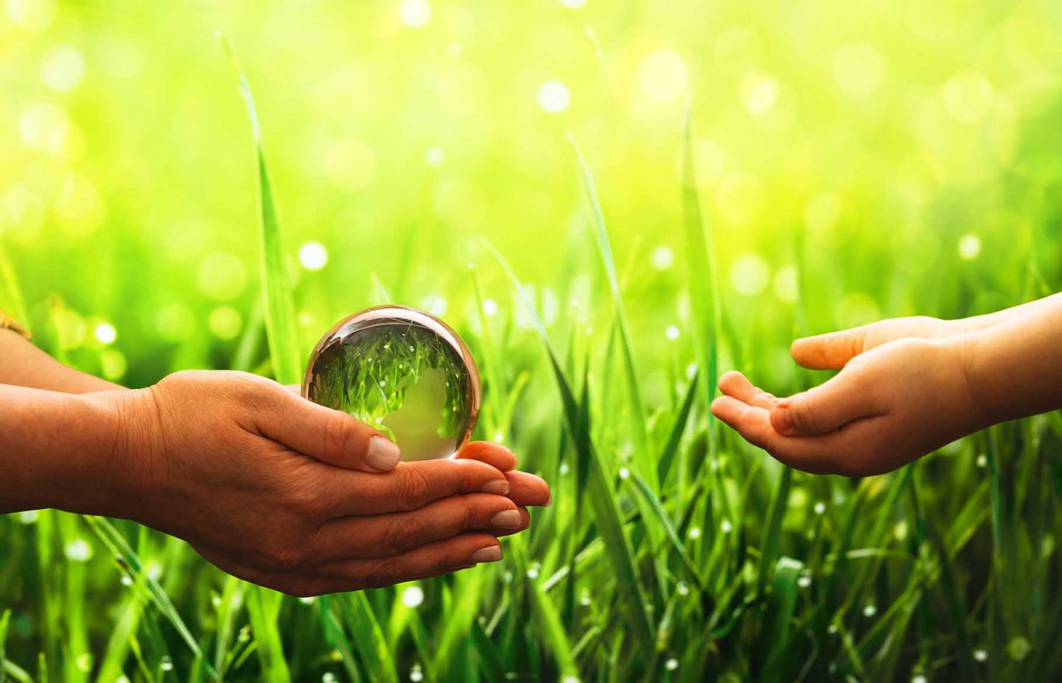 Una mirada al cuidado del medio ambiente | UAG Media Hub