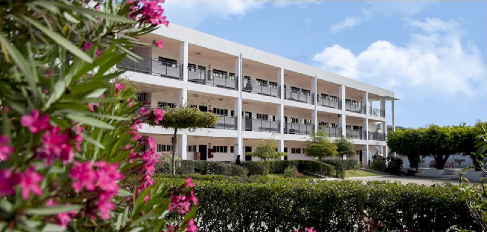 Prepa UAG | UAG
