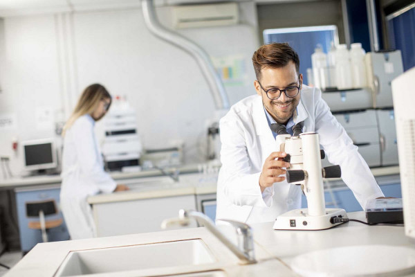 Doctorado En Ciencias E Ingeniería La Clave Para Impulsar Tu Carrera