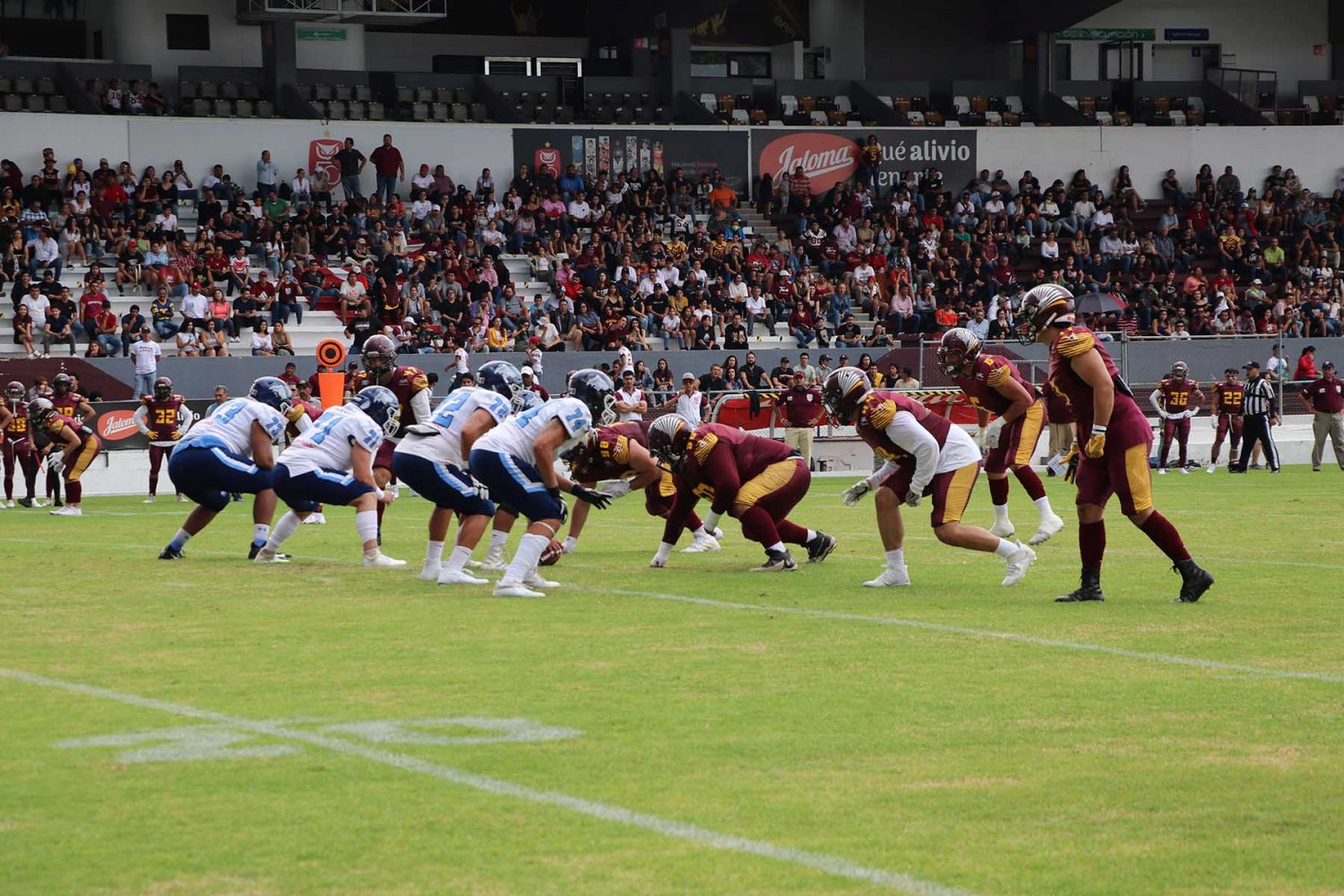Tecos ganó y sigue invicto en la Liga Mayor de la ONEFA | UAG Media Hub